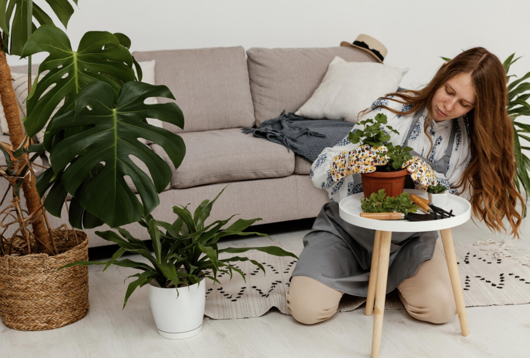 The 7 Best Mood-Boosting House Plants for Any Room - Fratellos Pizzeria